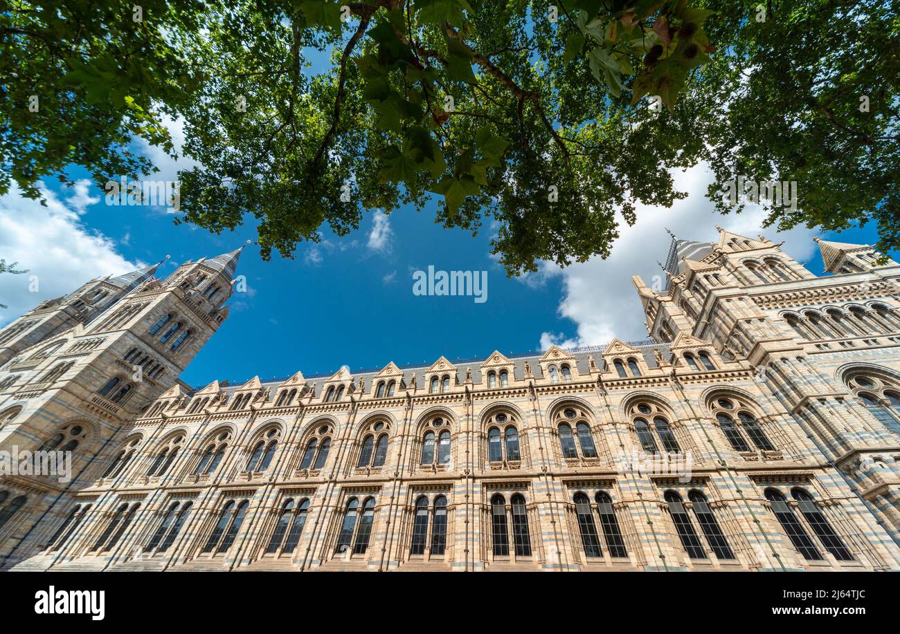 On a fine sunny summer afternoon,horizontal format.framed by ...