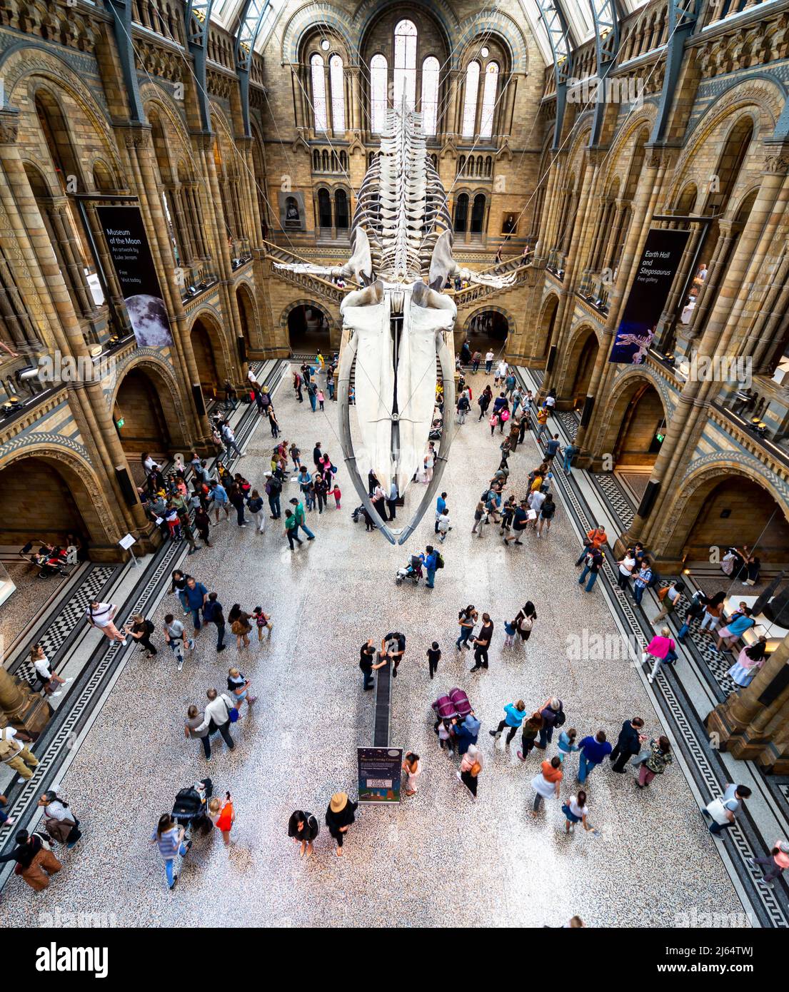 London England Uk August 21 2019 Inside Hintz Hall The Skeleton Of A