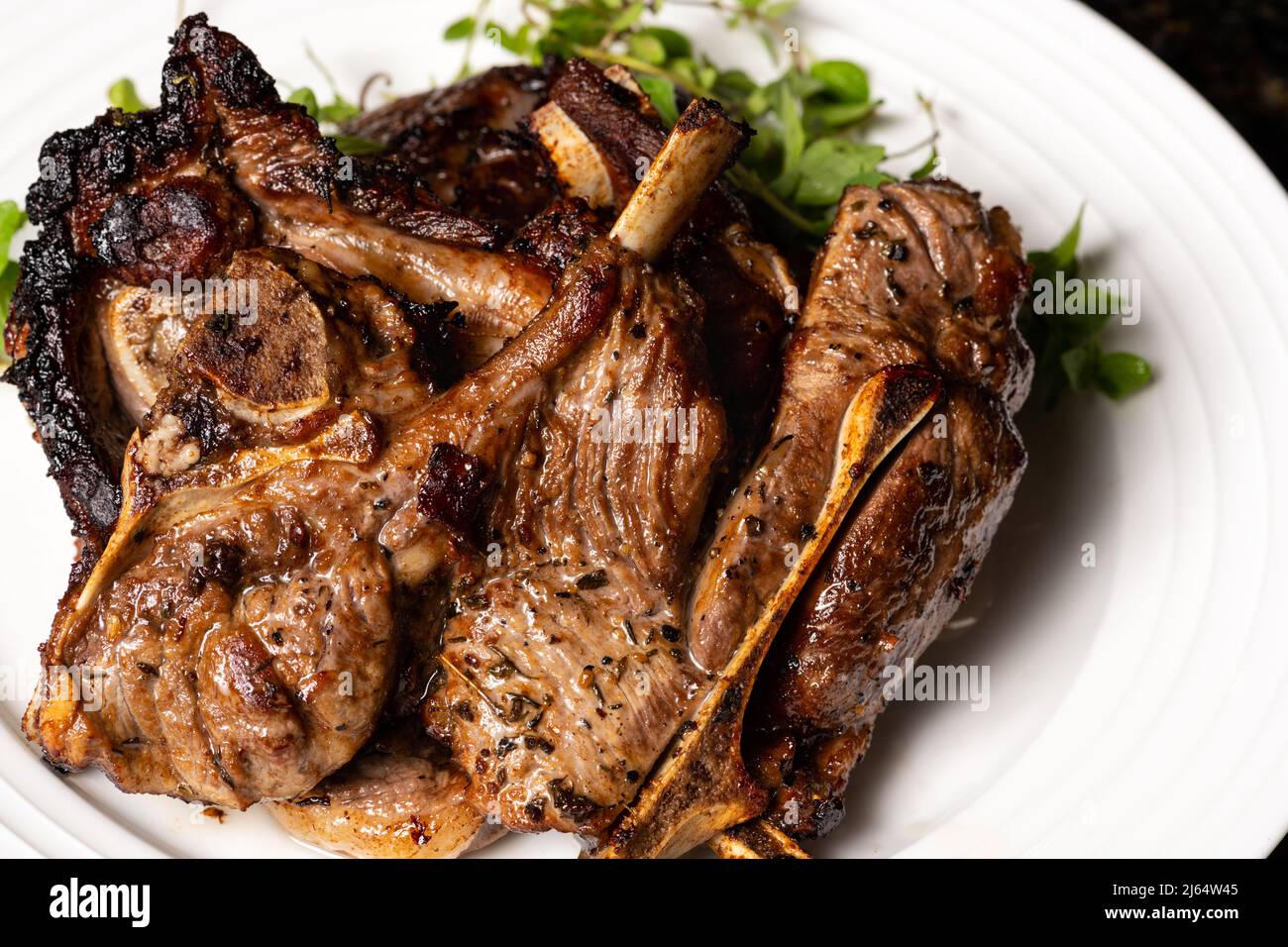 Fat lamb hi-res stock photography and images - Alamy