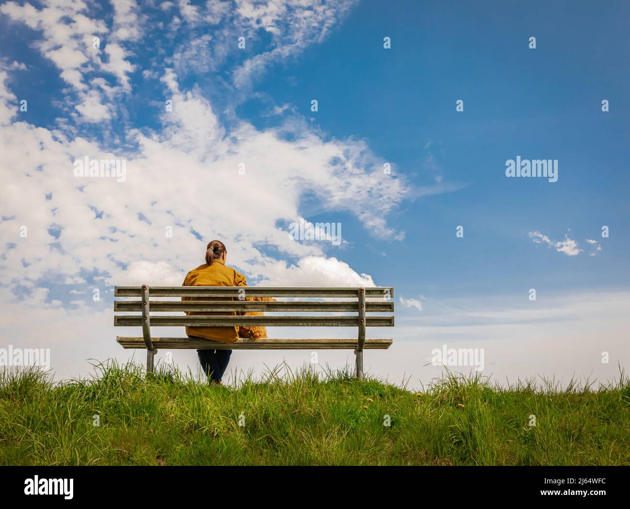Dog at bench hi-res stock photography and images - Alamy