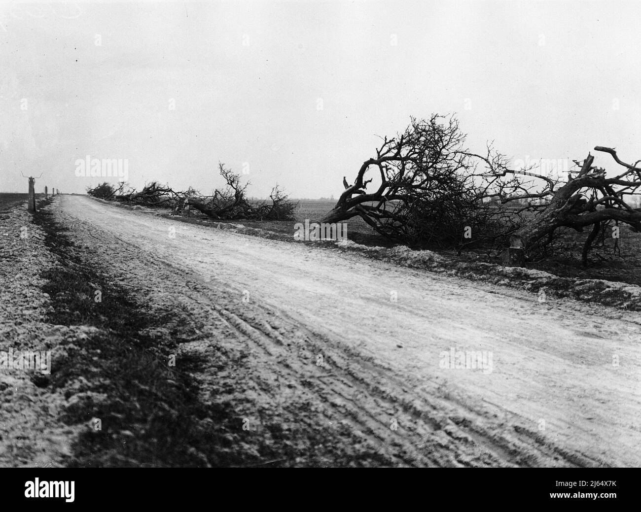 Ww1 landscape Black and White Stock Photos & Images - Alamy