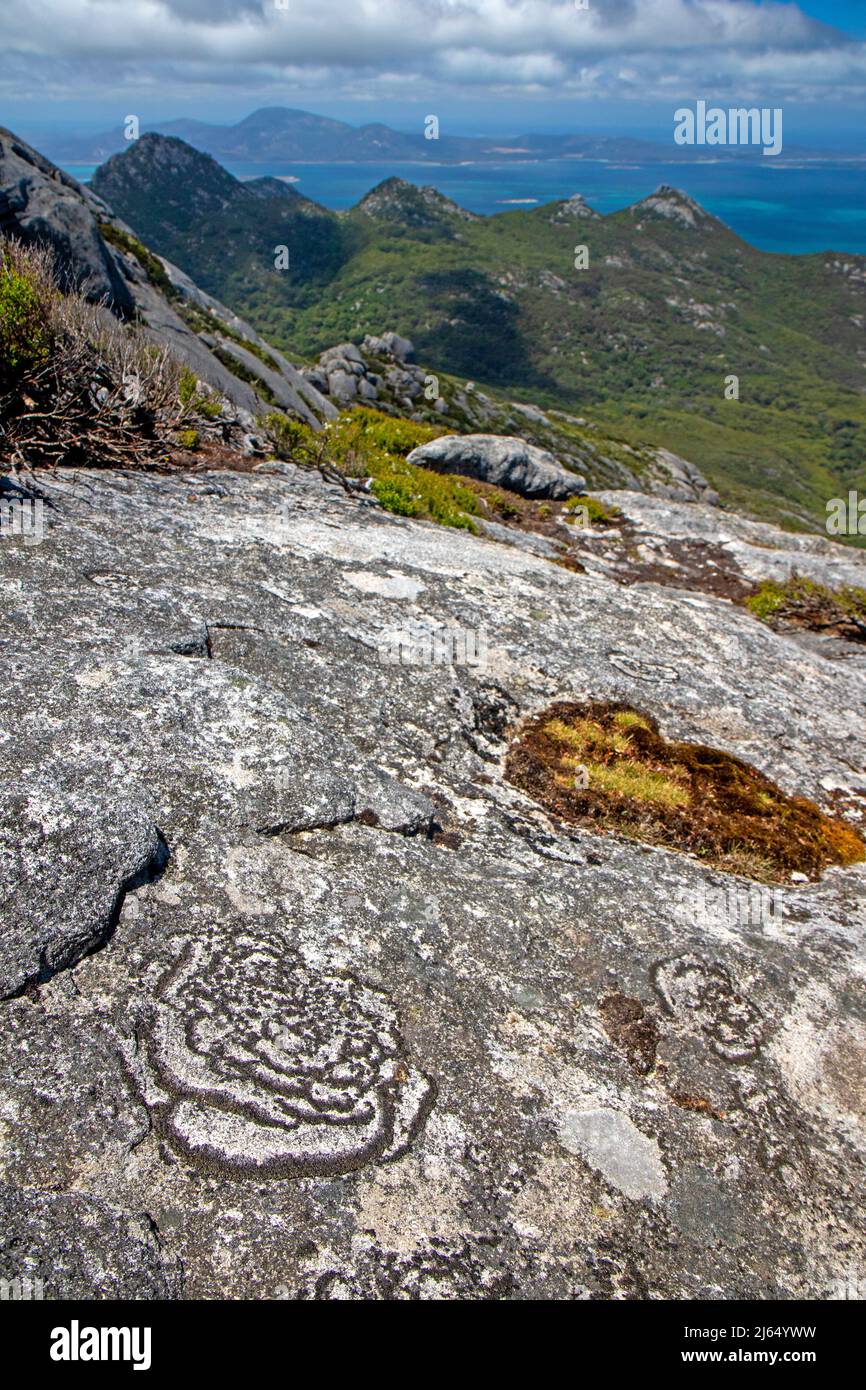 Mt strzelecki hi-res stock photography and images - Alamy