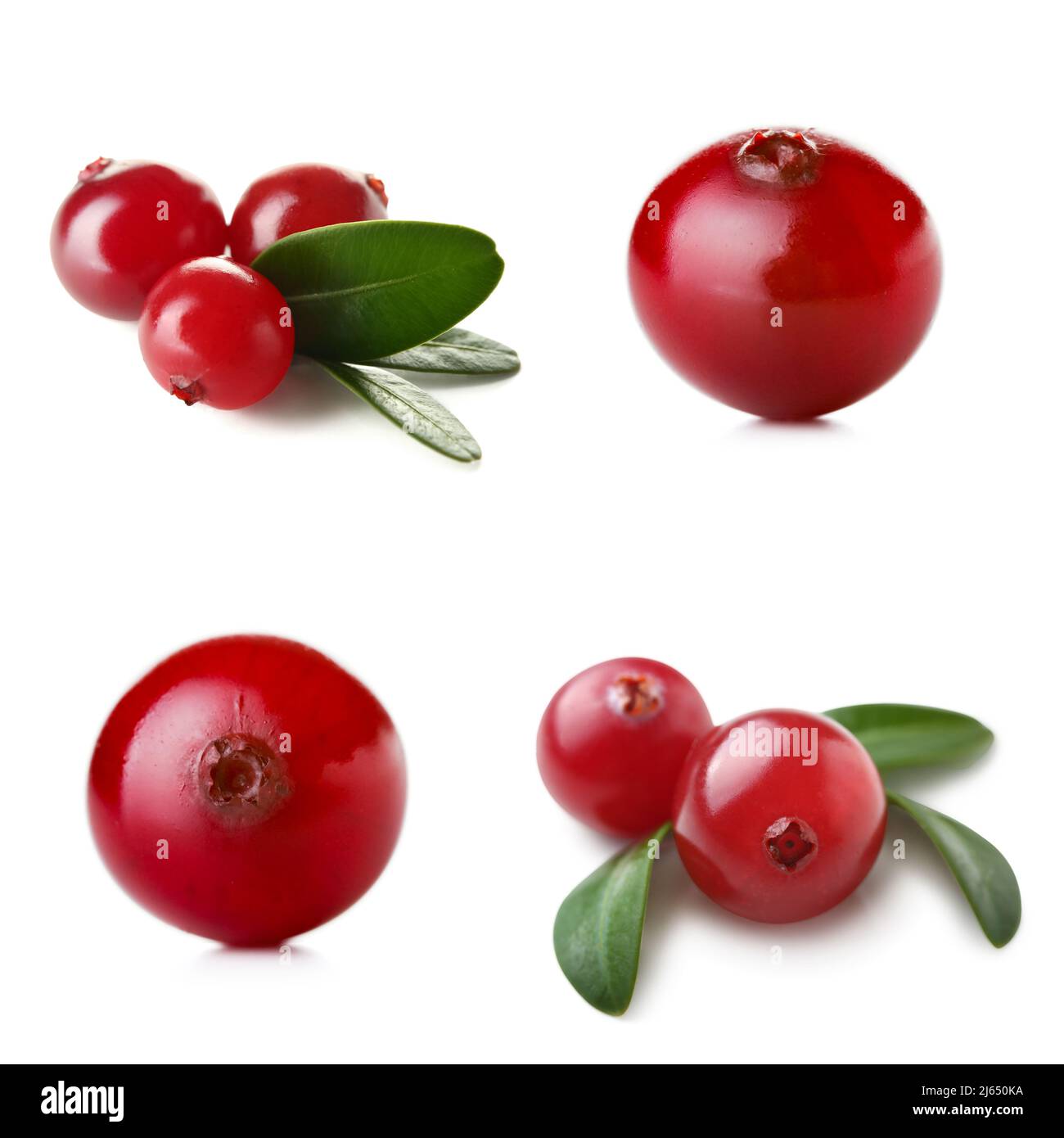 Set of ripe cranberry isolated on white Stock Photo - Alamy