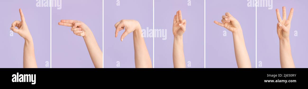 Hands showing different letters on lilac background. Sign language ...