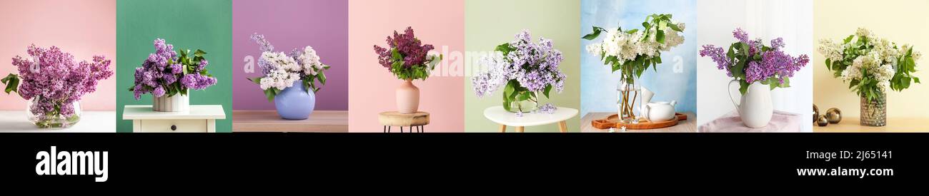 Collage with bouquets of beautiful lilac flowers on colorful background ...