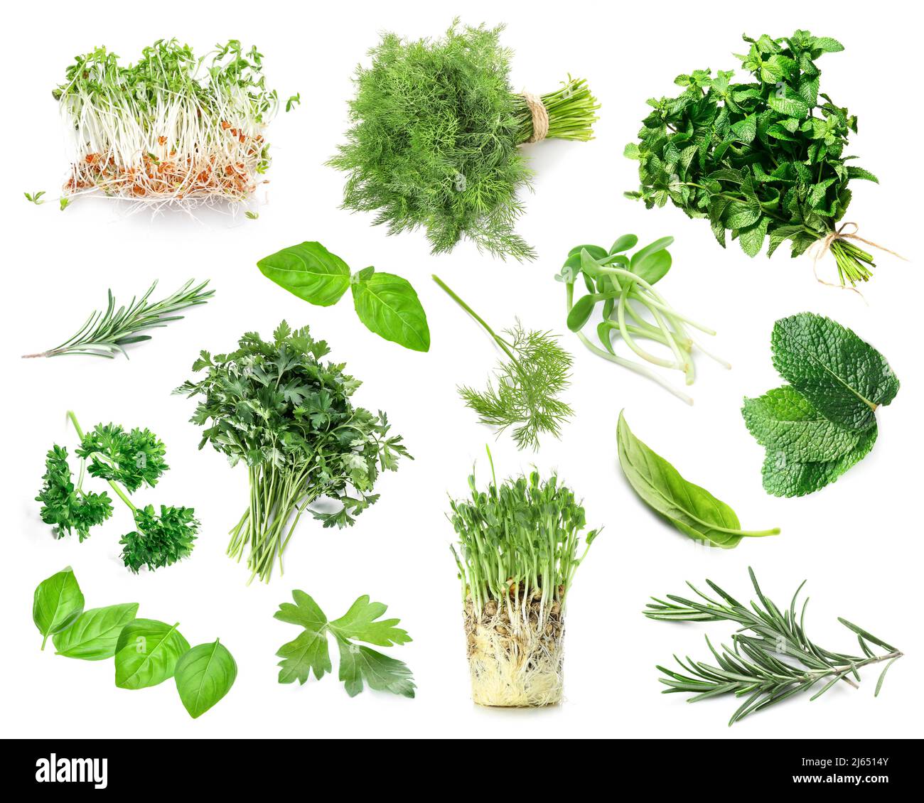 Set of fresh green herbs on white background Stock Photo - Alamy