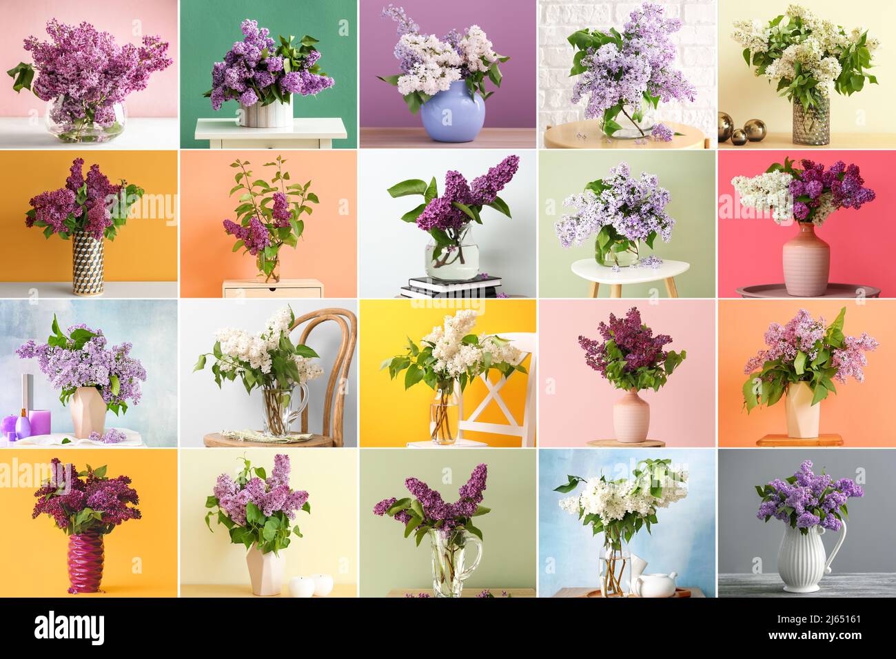 Collage with bouquets of beautiful lilac flowers on colorful background ...