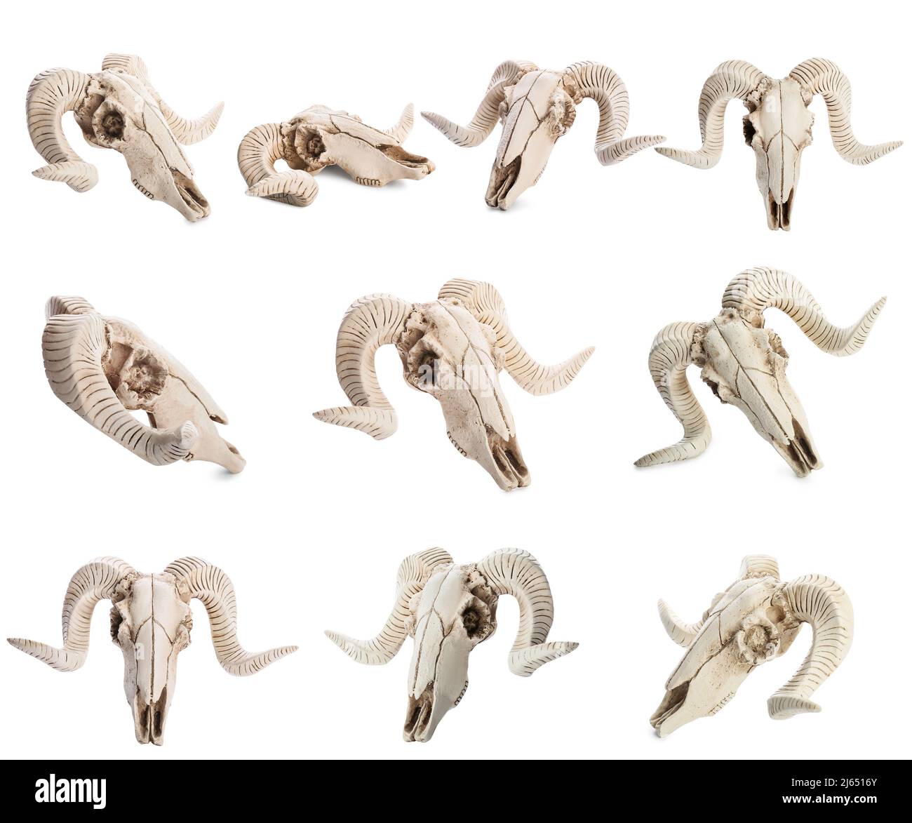 Set of diabolic skulls hi-res stock photography and images - Alamy