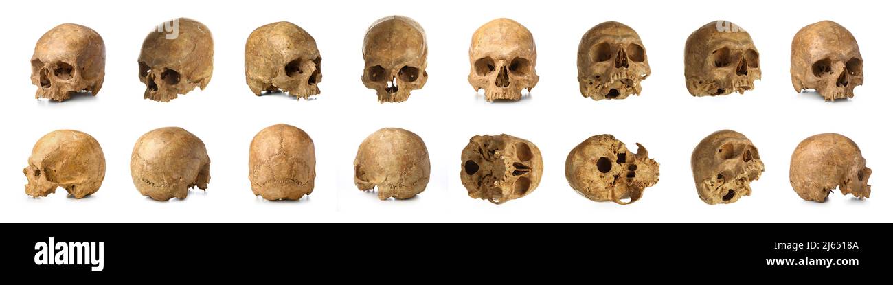 Set of old human skulls isolated on white Stock Photo - Alamy