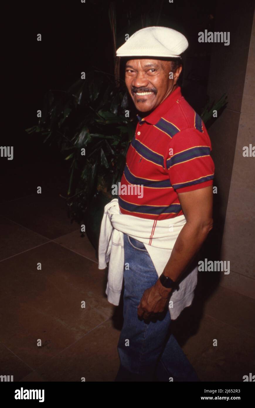Harold Nicholas January 1991 Credit: Ralph Dominguez/MediaPunch Stock ...
