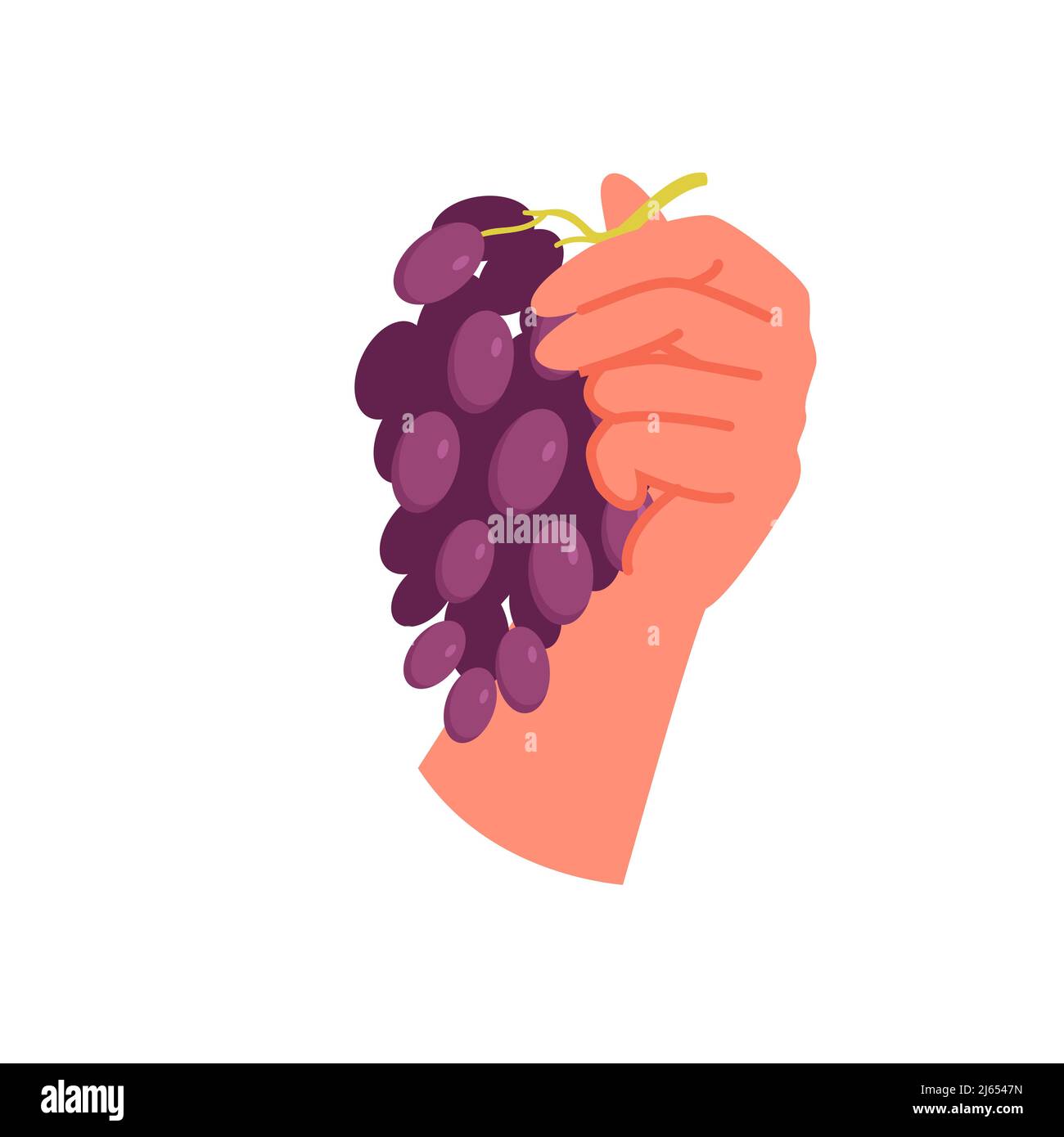 Traditional hand harvest grapes Stock Vector Images - Alamy