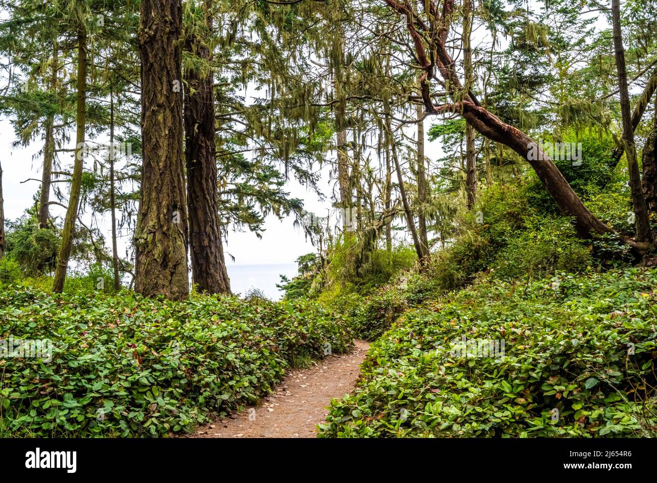 A gorgeous view of the landscape in Whidbey Island, Washington Stock ...