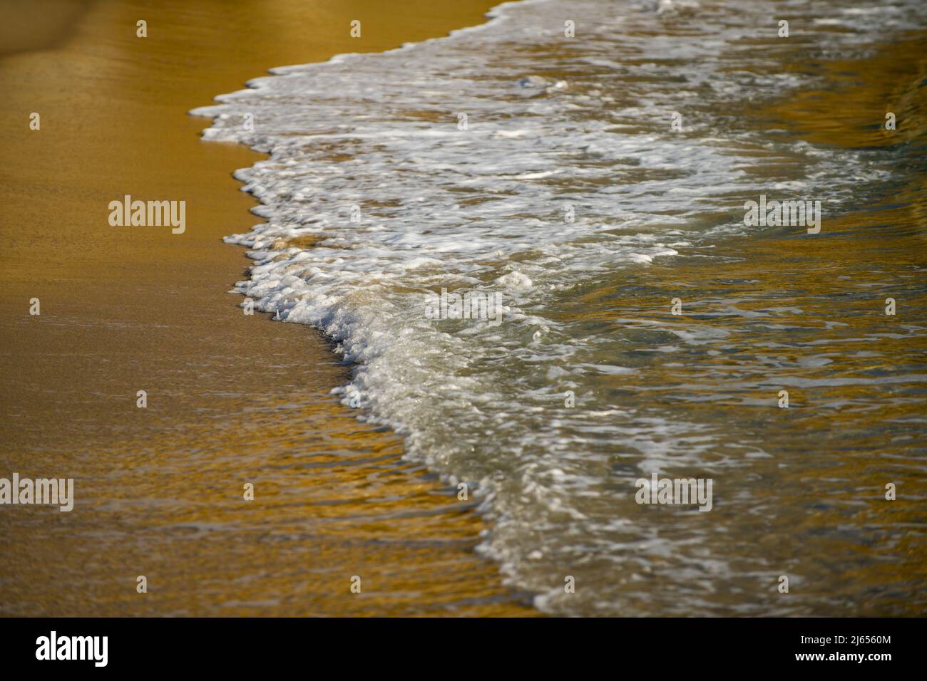 Panorama of ocean waves on a tropical sea with deep blue wawes, sea foam. Calm sea water, ocean ...