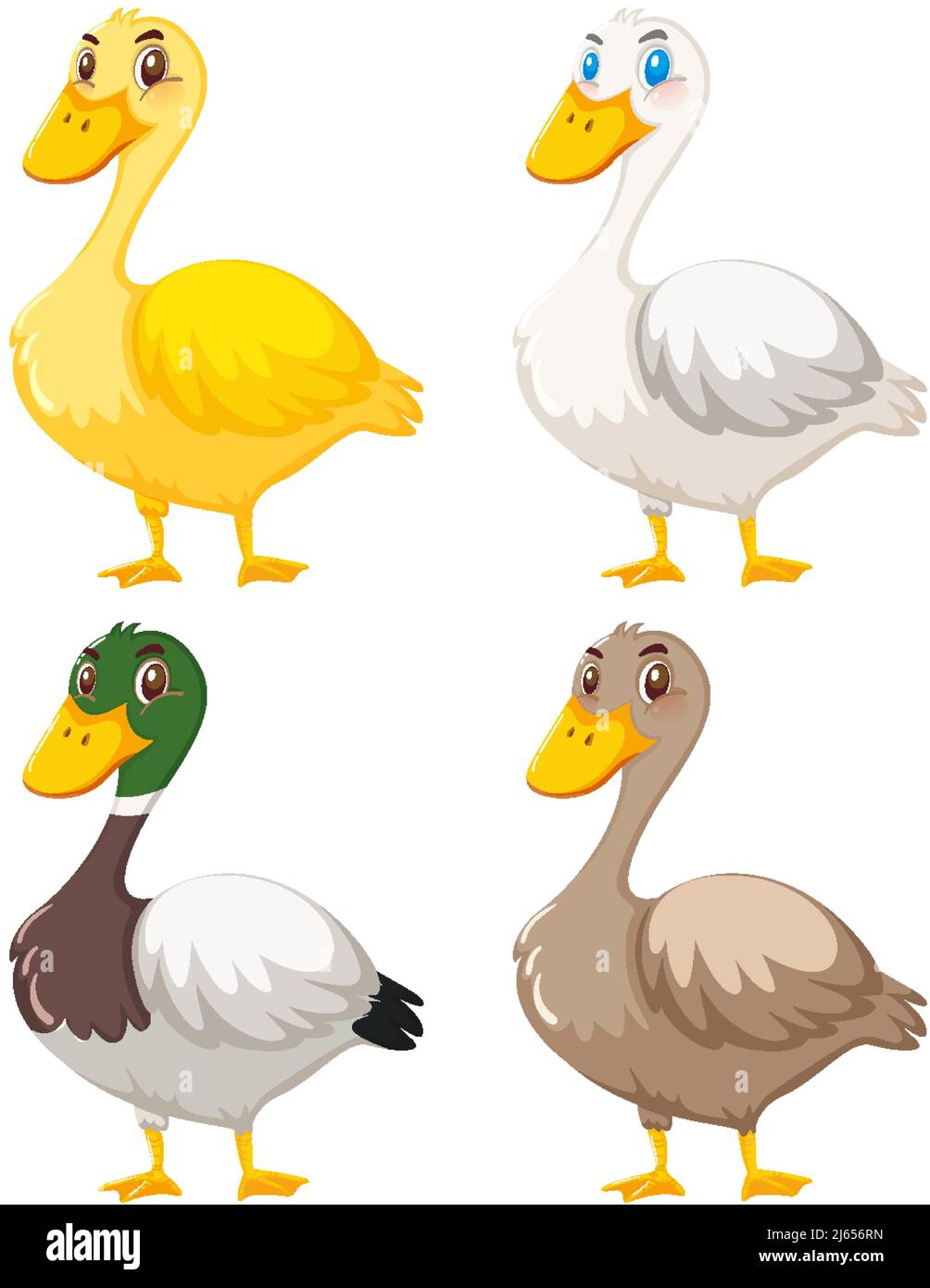 Set of cute duck cartoon illustration Stock Vector Image & Art - Alamy