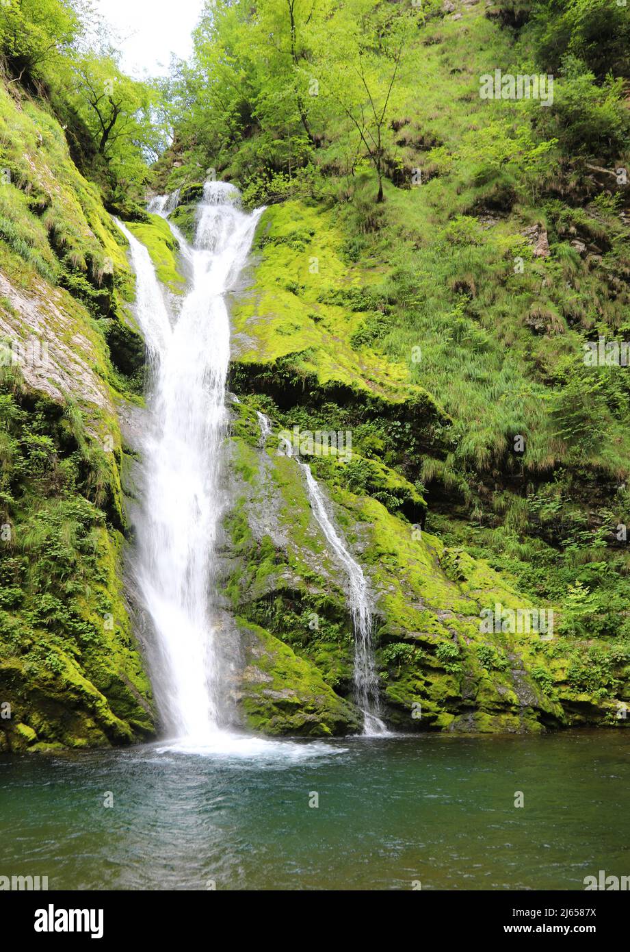 spring of water that flows from the rock and falls into the pond Stock ...