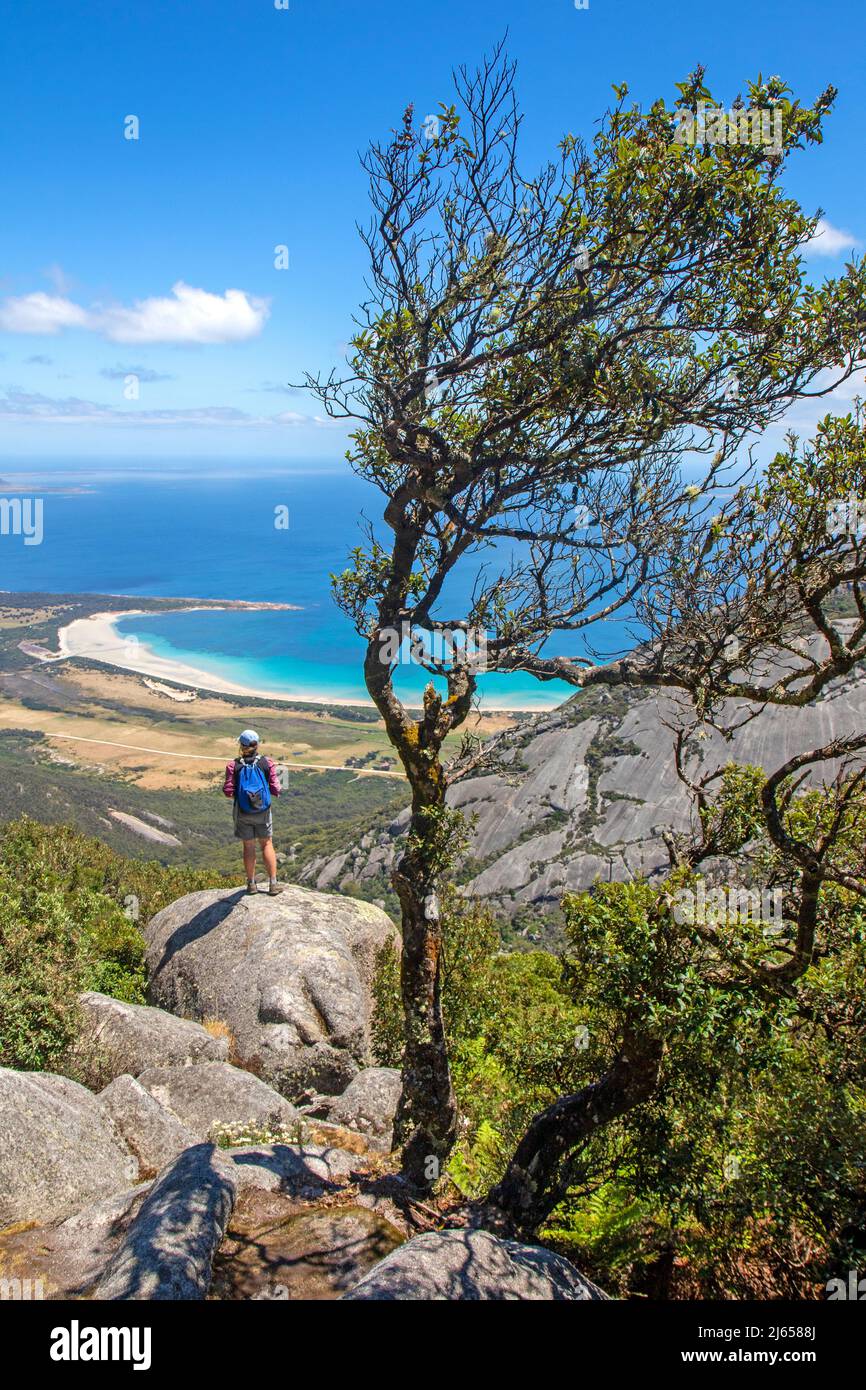 Strzelecki national park hi-res stock photography and images - Alamy