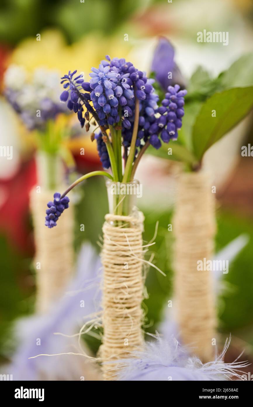 Floral arrangement with tiny blue cluster flowers in closeup Stock ...