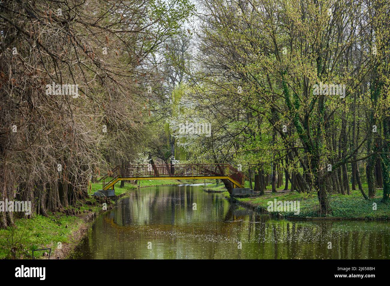 Summer in the park, landscape with water, bridge and willows Stock ...