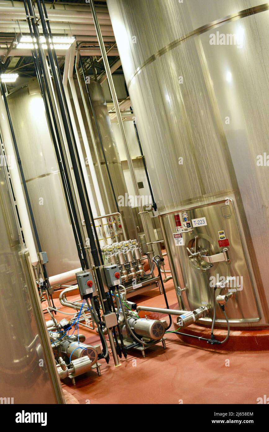 Processing of cranberries at the modern and state-of-the-art Ocean ...