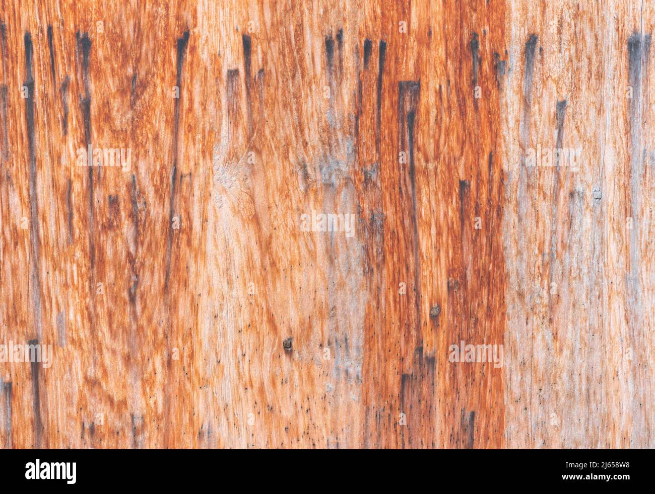 wood old brown texture background Stock Photo - Alamy