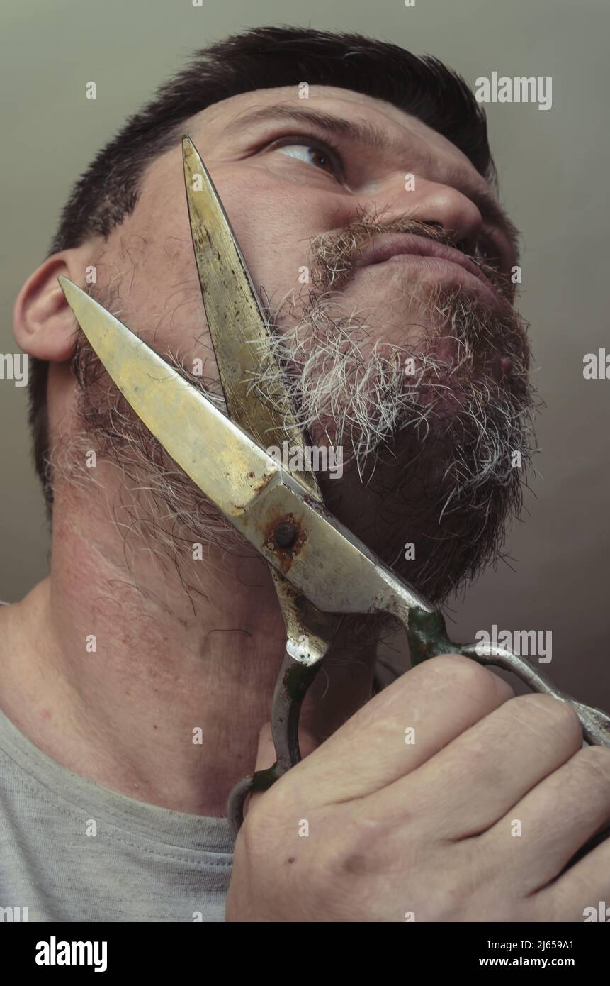 An adult man cuts his own beard with old huge scissors. Unusual ...