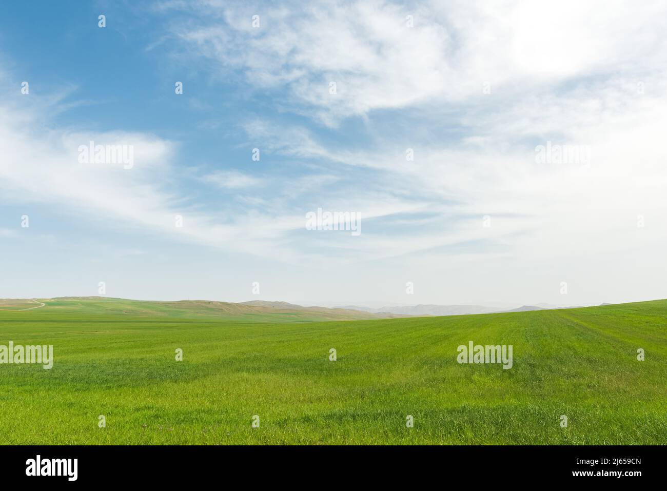 Landscape with green farm fields and cloudy sky Stock Photo - Alamy