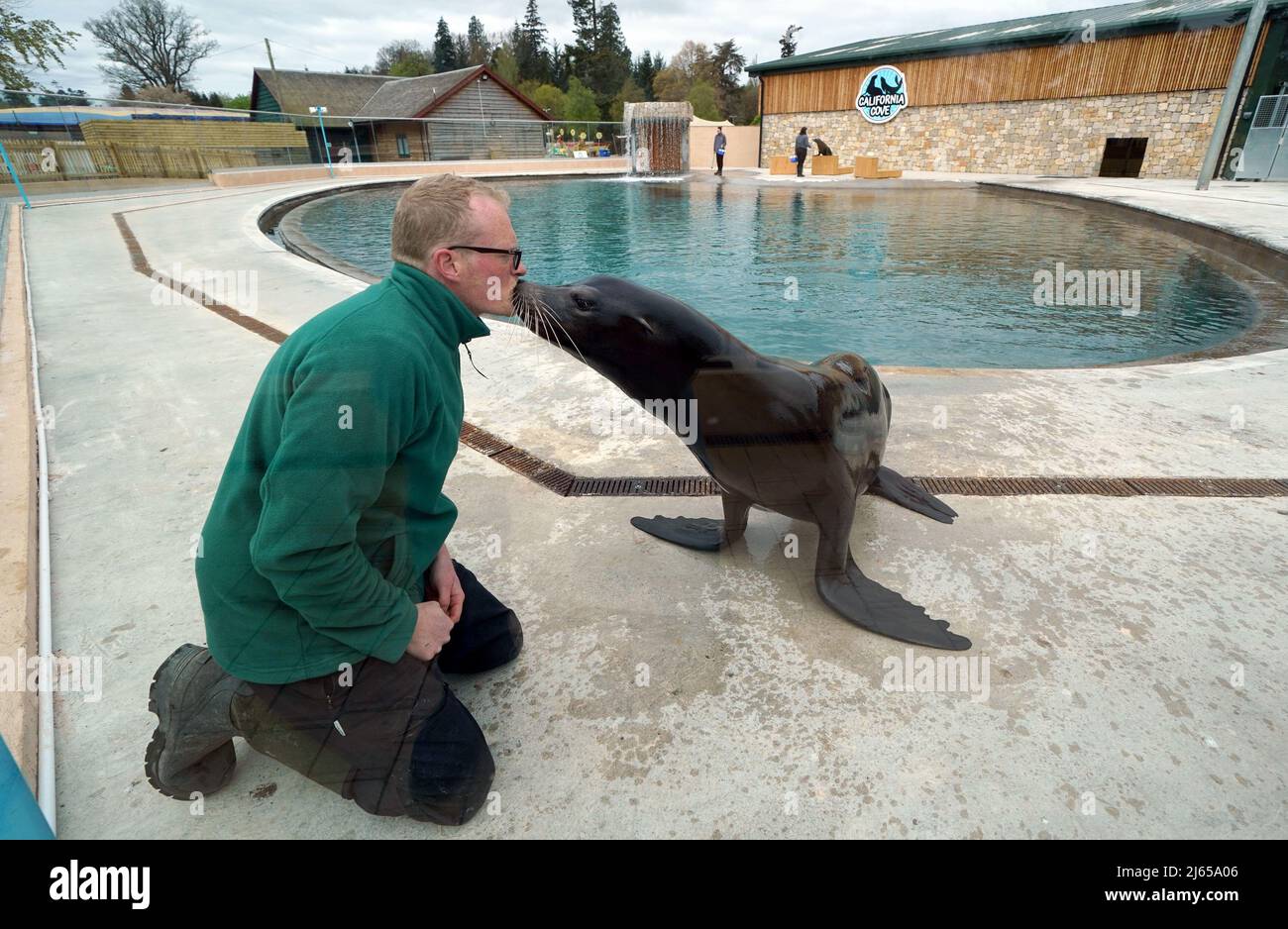 Sea Lion Keeper Shane Belson with Oscar the sea lion as he alongside ...
