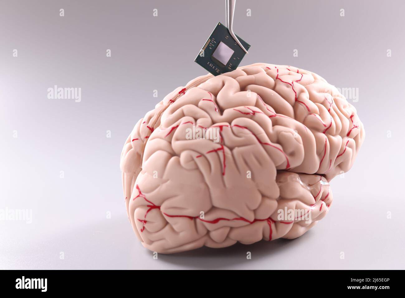 Tiny computer chip detail in human brain Stock Photo - Alamy