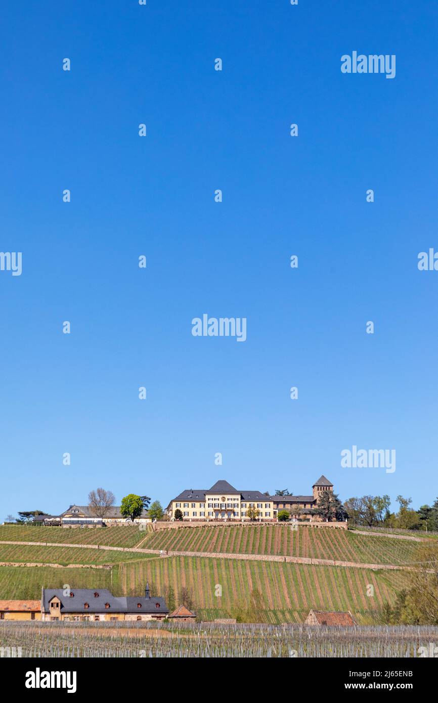 old historic vinery building at the hill surrounded by vineyards of the ...