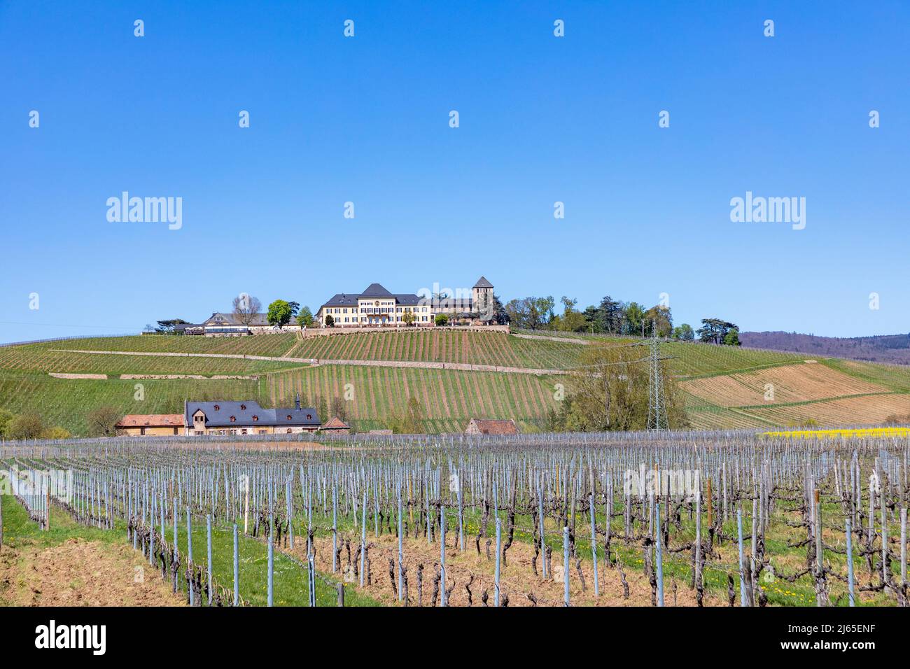 old historic vinery building at the hill surrounded by vineyards of the ...