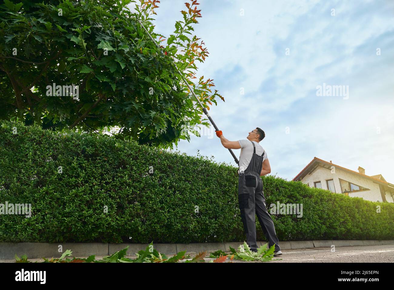Strong caucasian man in uniform and gloves using petrol trimming ...