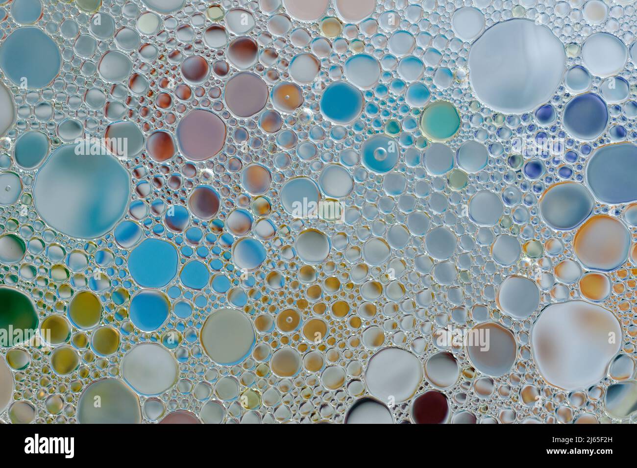 Macro or close up studio image of colourful soap bubbles in water Stock ...