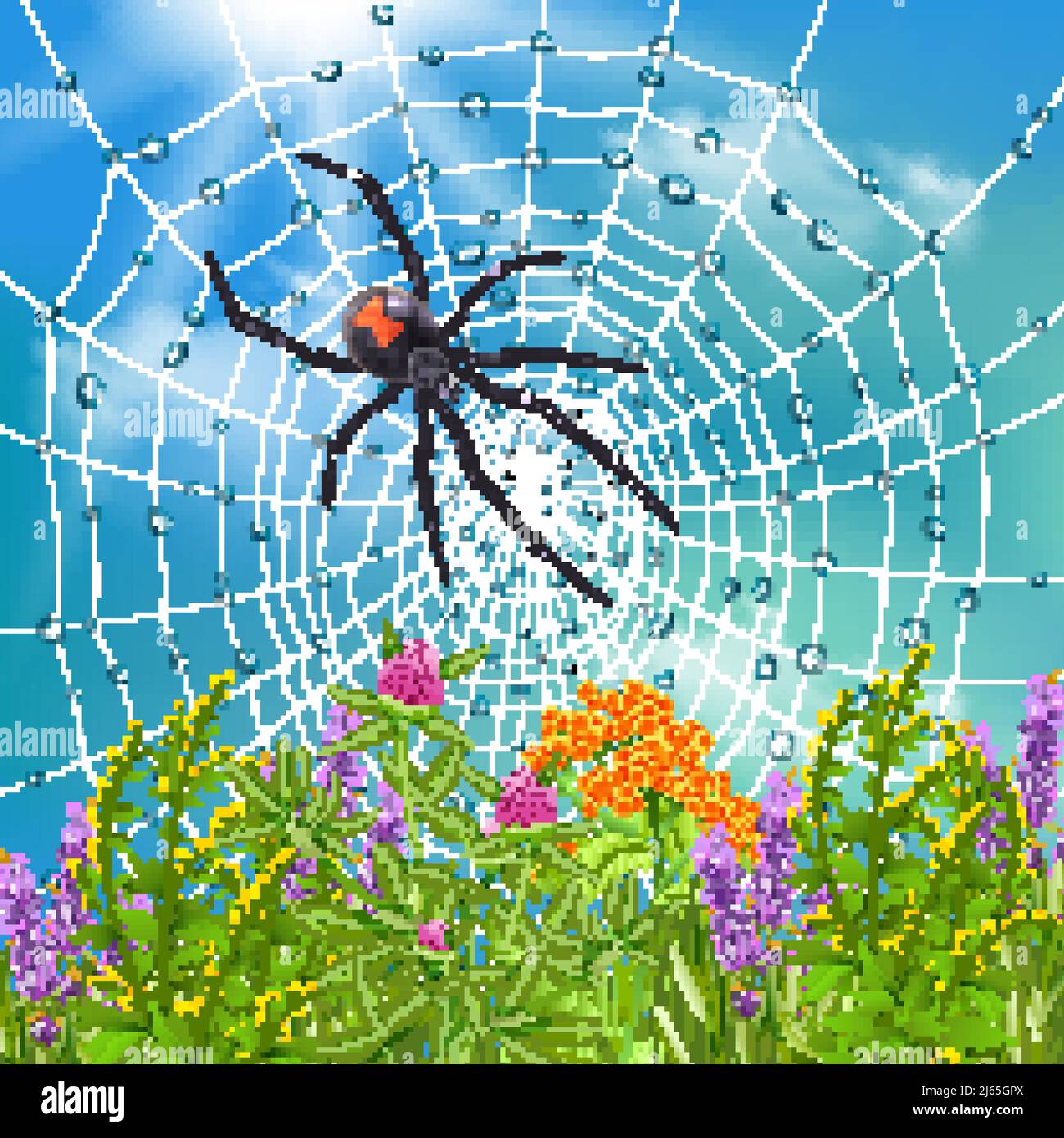 Outside spider web Stock Vector Images - Alamy