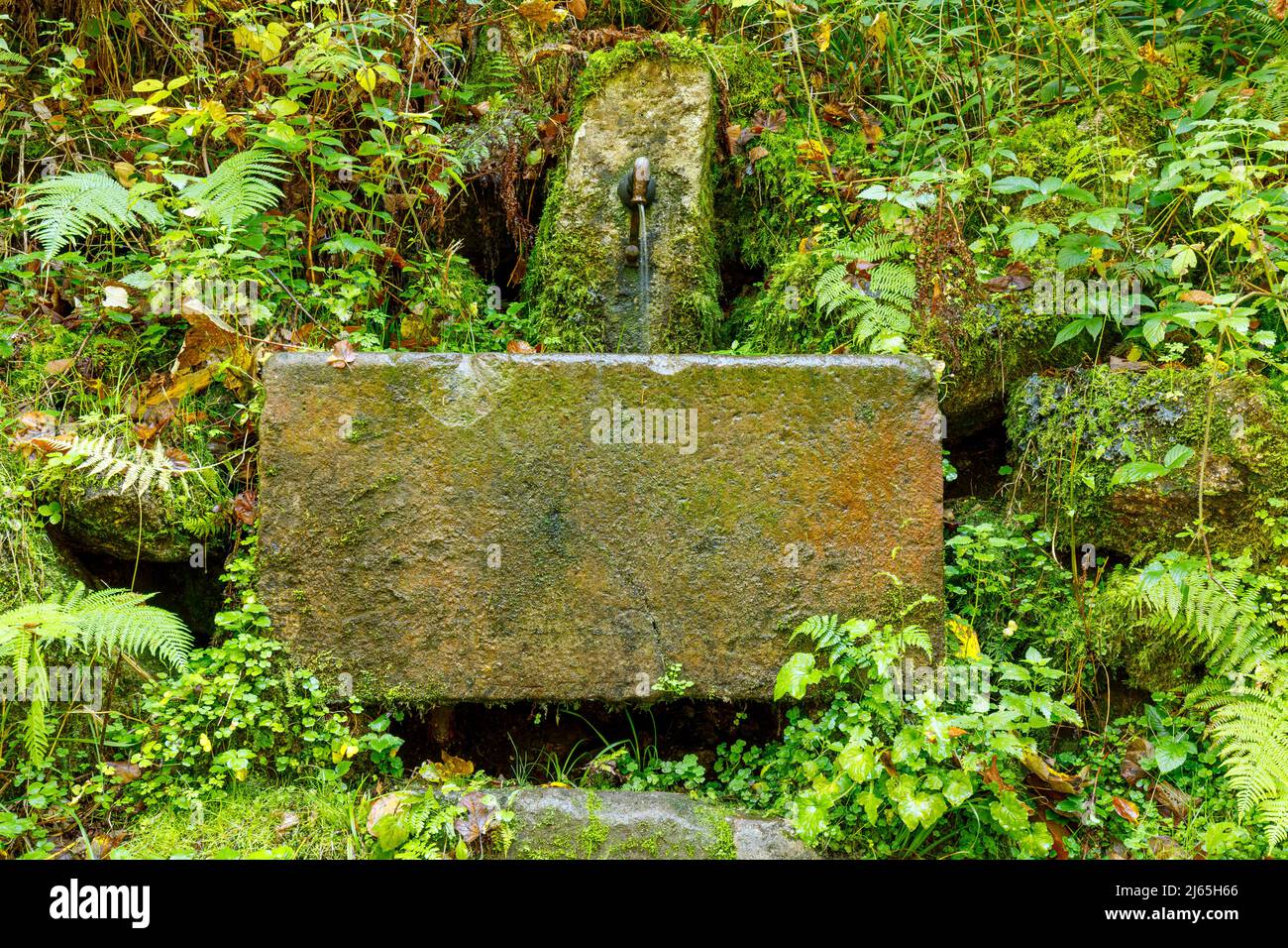Stone fountain in a rock wall Stock Photo - Alamy