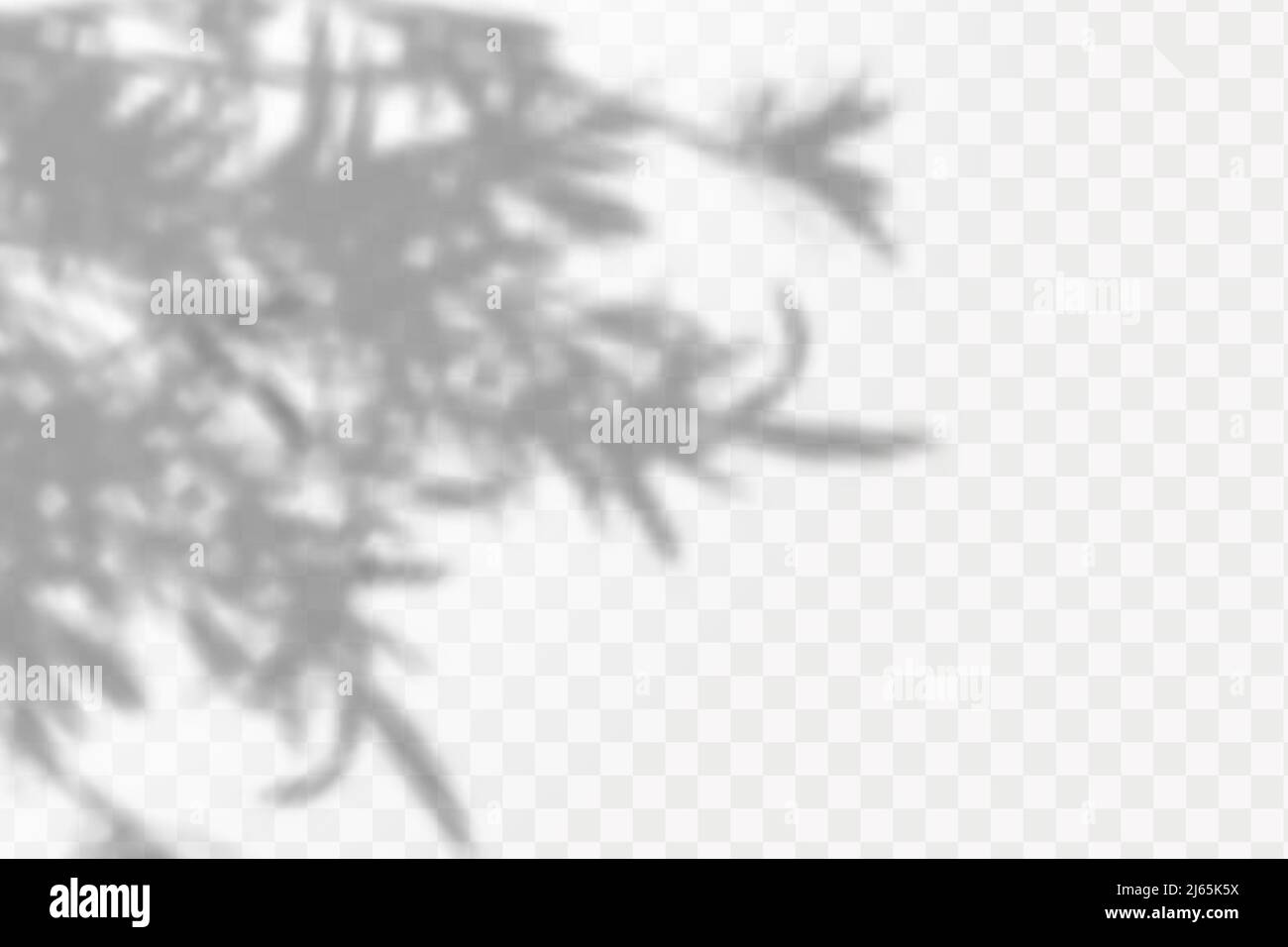 The effect of overlaying shadows. Natural light layout.Realistic shadow ...