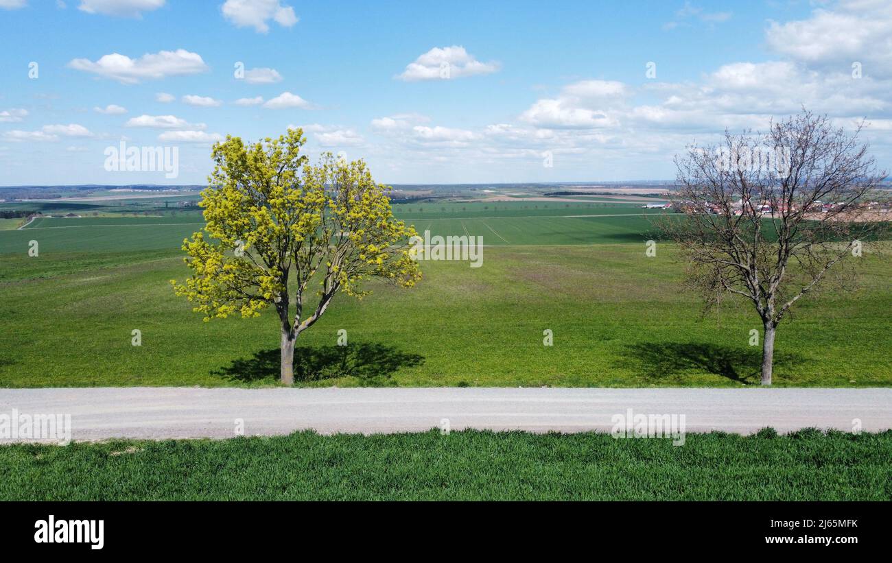 Green fields with trees hi-res stock photography and images - Alamy