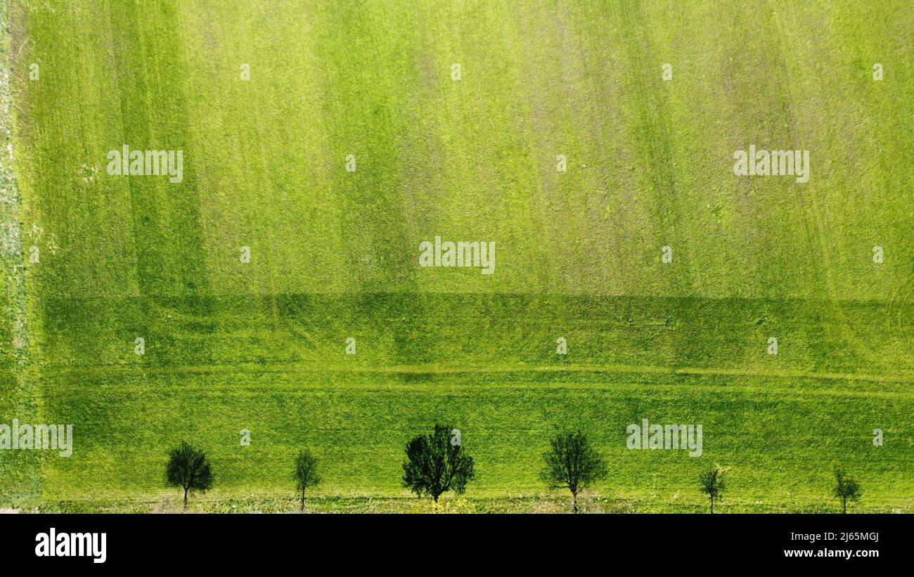 Green fields with trees hi-res stock photography and images - Alamy