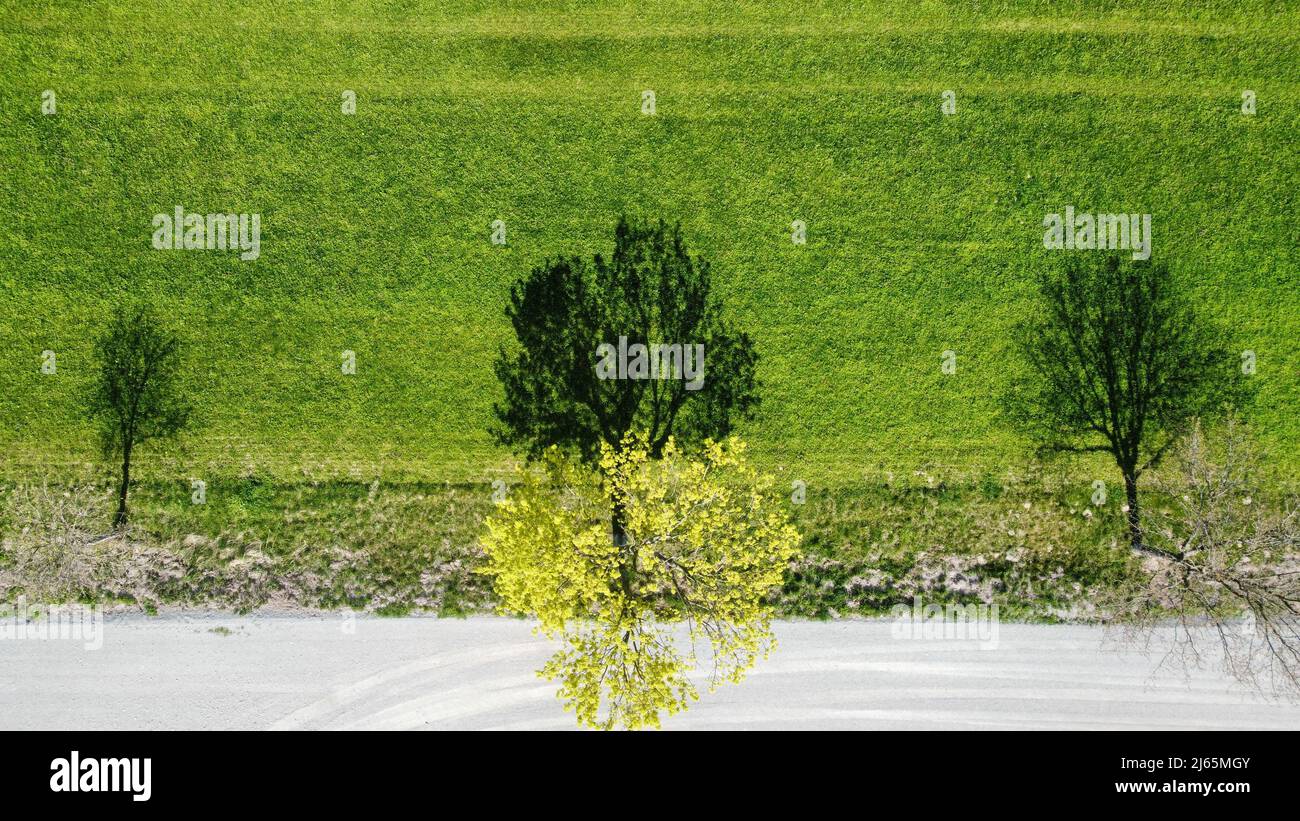 Tree flight green agriculture hi-res stock photography and images - Alamy
