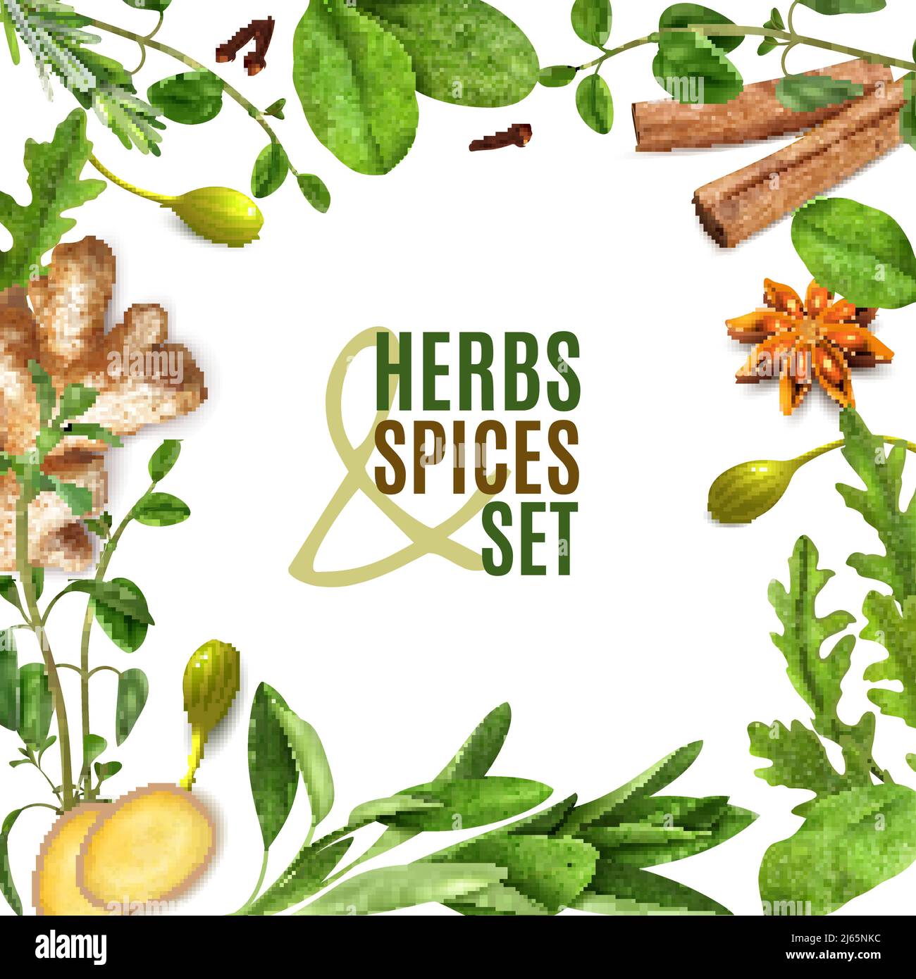 Herbs spices realistic square frame with fresh rosemary thyme rocket ...