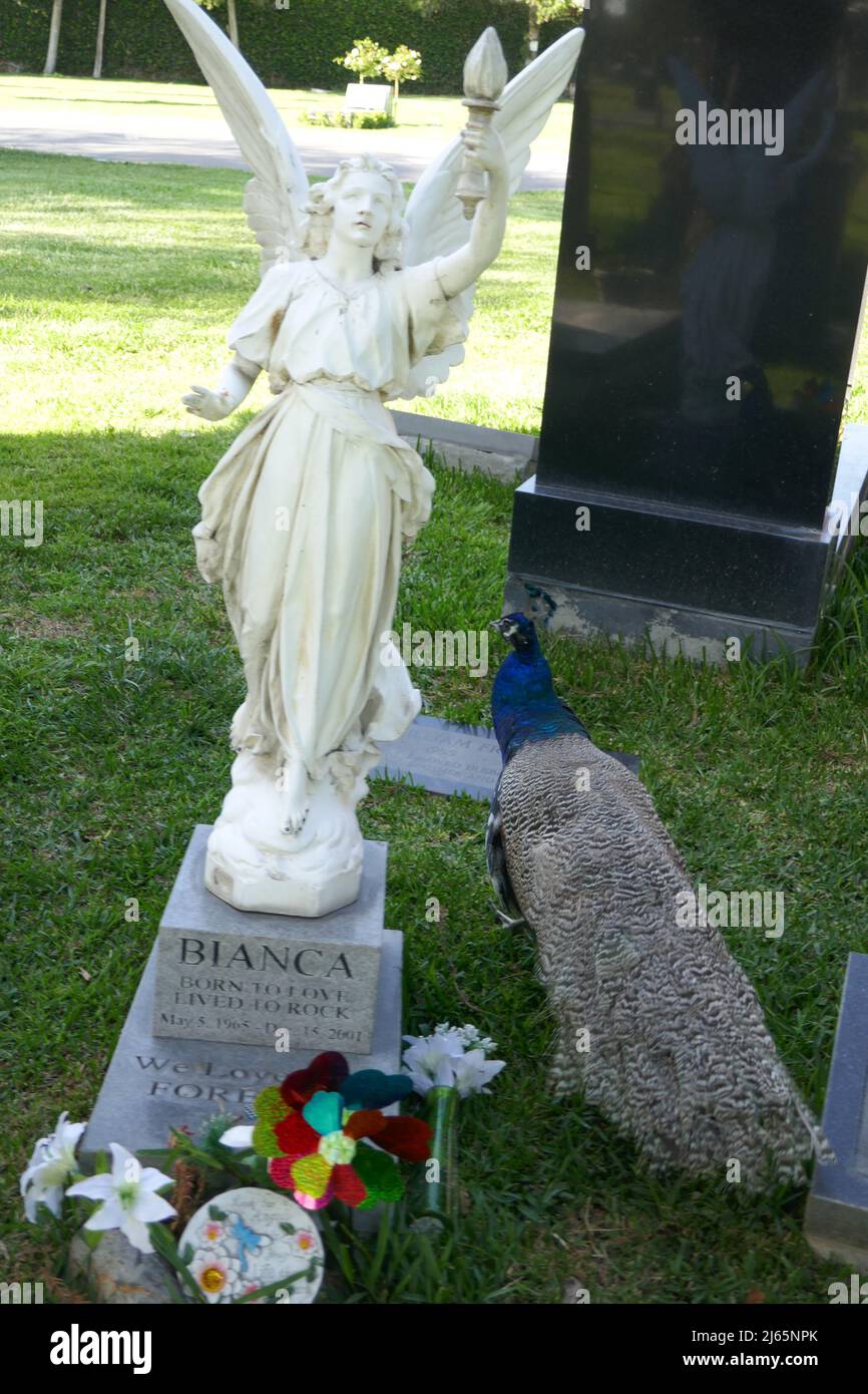 Los Angeles, California, USA 20th April 2022 A general view of ...