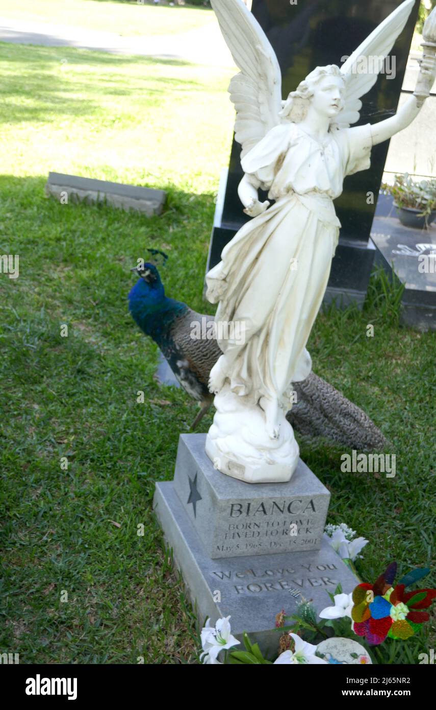 Los Angeles, California, USA 20th April 2022 A general view of ...