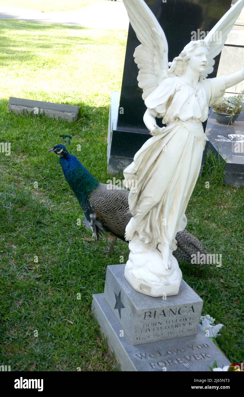 Los Angeles, California, USA 20th April 2022 A general view of ...
