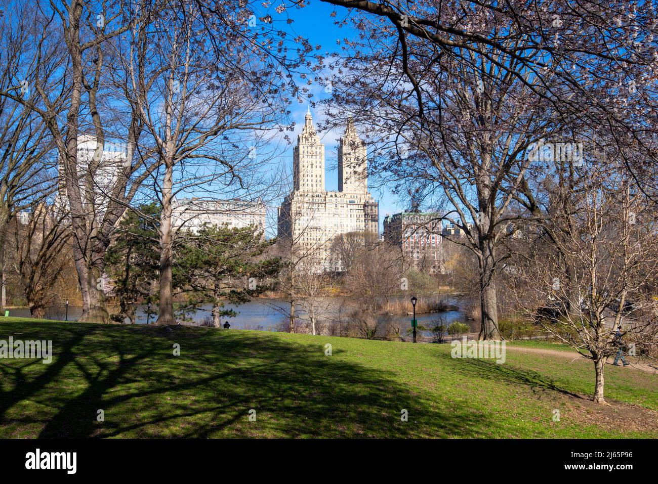 View through trees to the Lake in Central Park, New York USA Stock ...