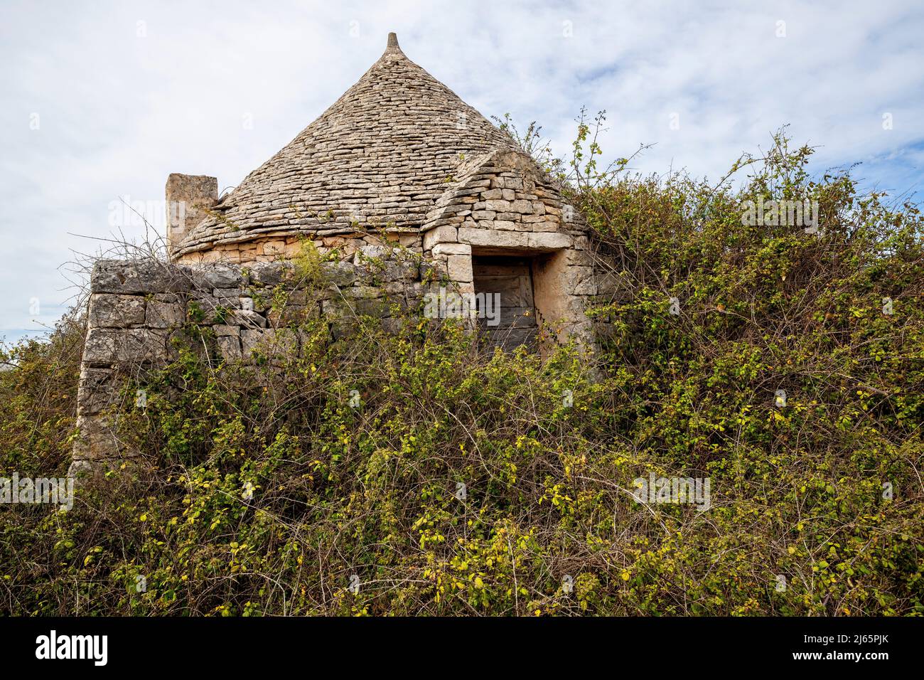Trulli dwellings in Apulia, countryside, olive tree and traditional ...