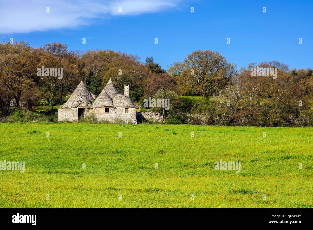 Trulli dwellings in Apulia, countryside, olive tree and traditional ...