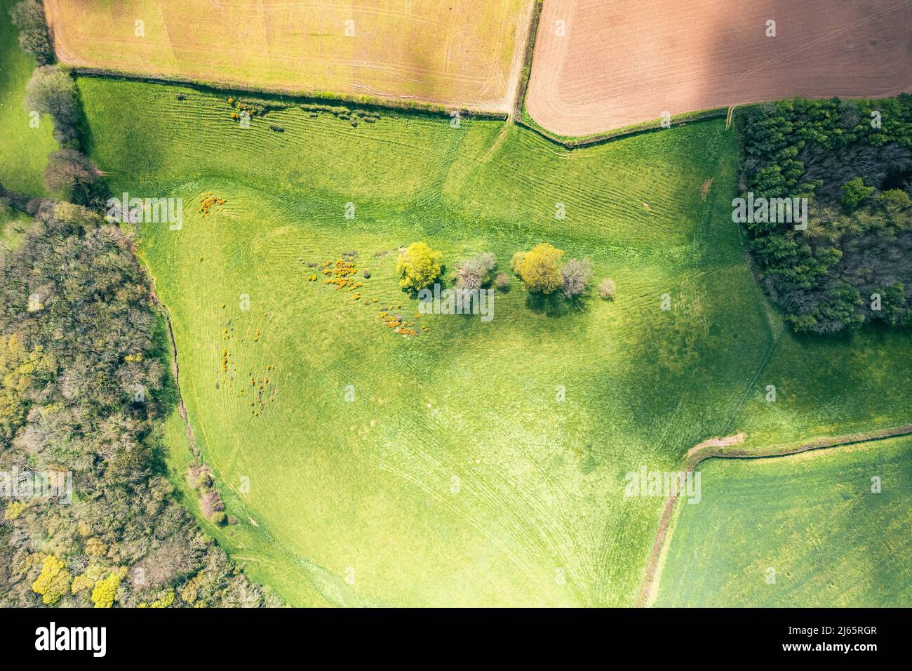 Top Down over Fields and Farmlands, English Village, Devon, England ...