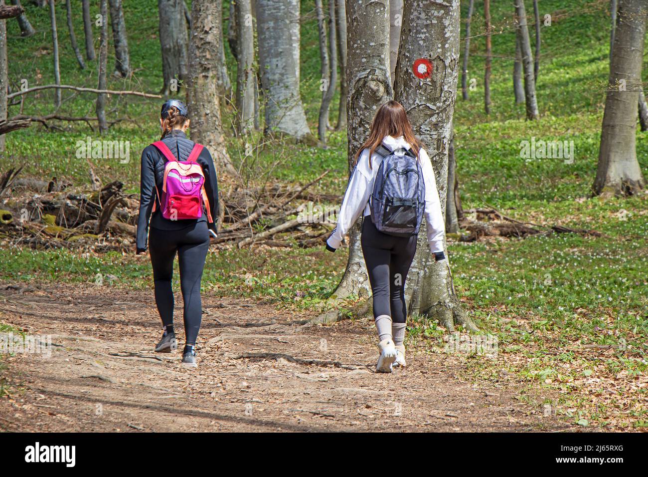 Two young girls walking by hiking trail in the forest Stock Photo - Alamy