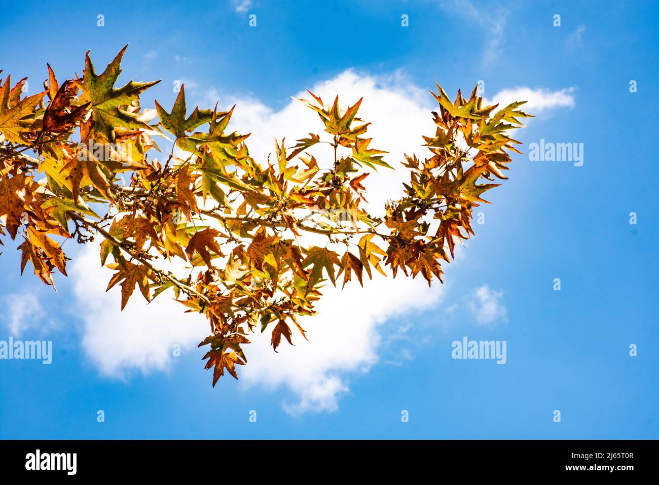 Lavasan hi-res stock photography and images - Alamy