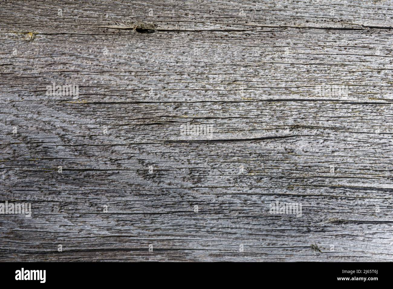 Textured gray plank with space for design. Natural wooden template ...