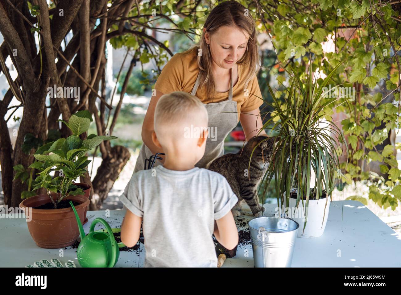 Family Planting Flowers Together. Spring Houseplant Care, repotting ...